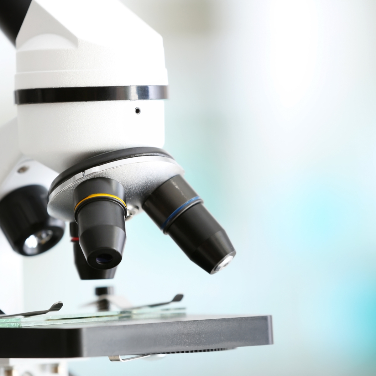 Custom Compression Springs Manufacturer | Zigoal